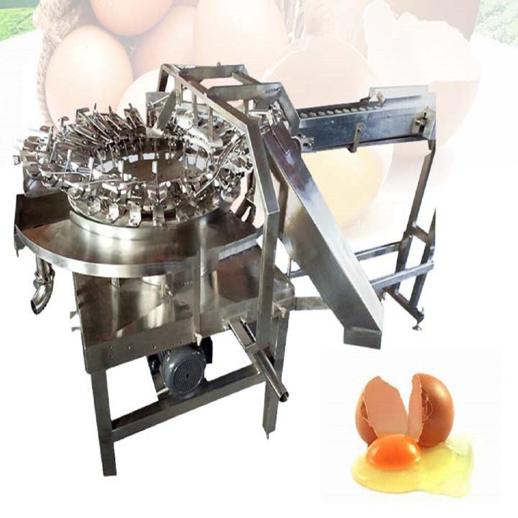 Egg Breaking Machines – SHN International GmbH